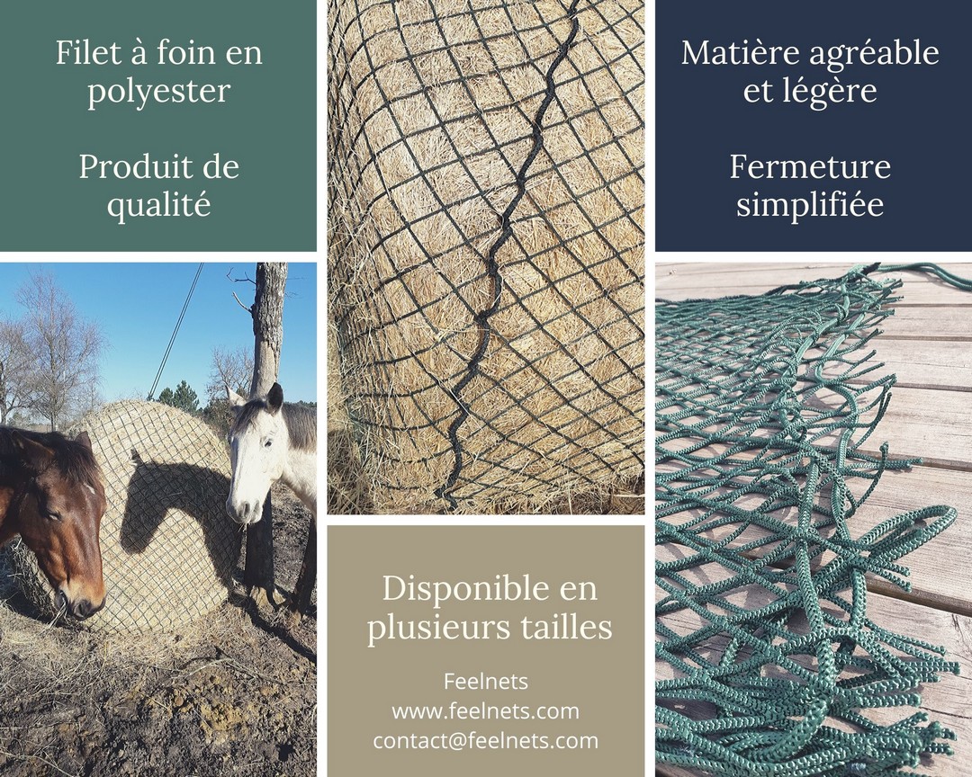 FILET A FOIN - Spécialiste des Filets à Foin pour Chevaux par Feelnets